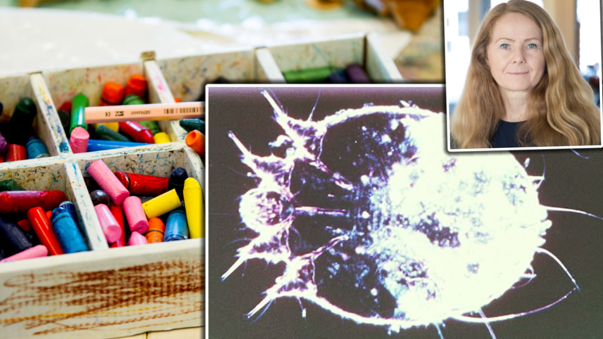 Utbrott av skabb på förskola och skola – flera fall har bekräftats ...