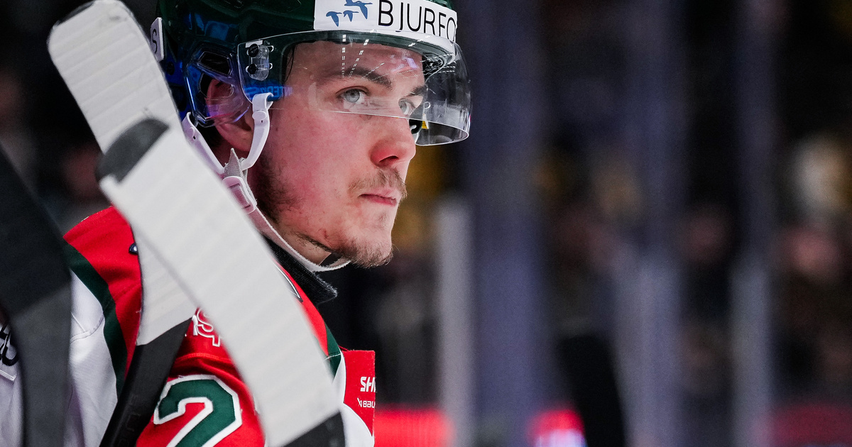 ROBIN LINDGREN: "Supportrar i SHL – det är inte synd om er"