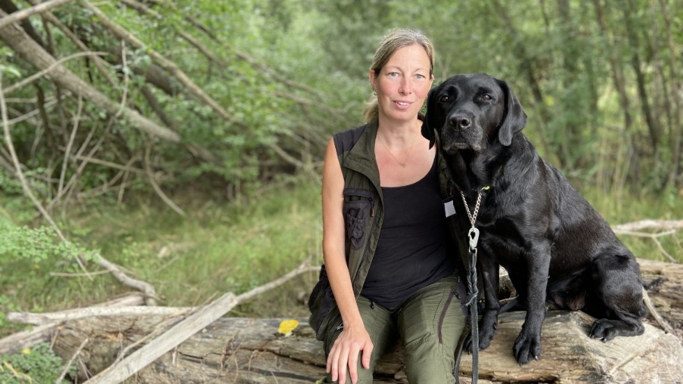 Hunden Bizzie vann Nose Work – "ett grisöra och en skiva köttfärslimpa ...