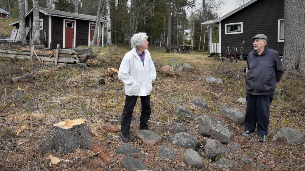 Träden på deras stugtomt sågades ned • "Jag höll på falla ihop"