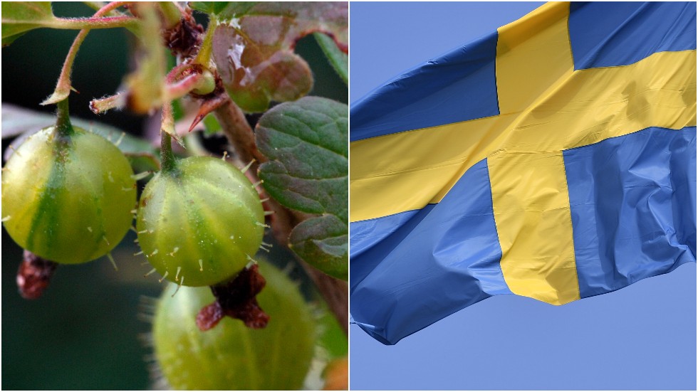 WIDAR ANDERSSON: Moderna myter skymmer sikten för hur det ligger till