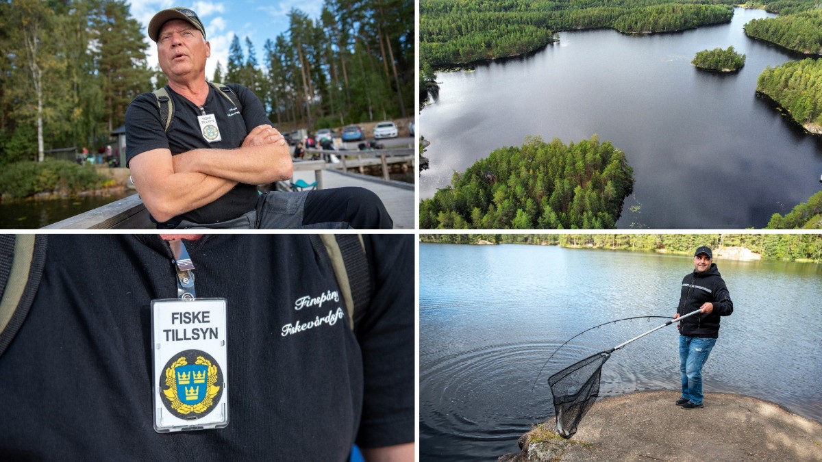 "Ibland när vi kommer på tjuvfiskare hettar det till" • Tuffare policy ...