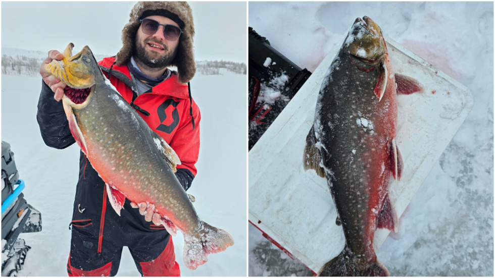 Piteåbon Simon drog upp drömfisken: "Jag kände adrenalinet flöda"
