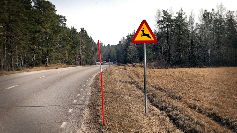 Gotland får minst till vägunderhåll – men "pengarna räcker"