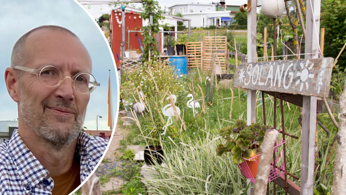 INSÄNDARE: Kommunen letar ny mark till förening på Norr