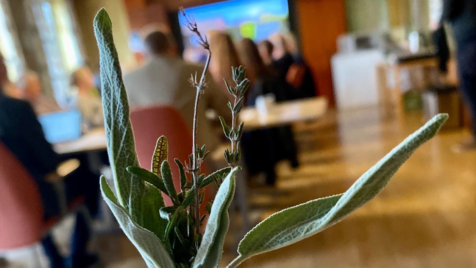 Grön omsorg skapar meningsfull sysselsättning: "Det känns viktigt att ...