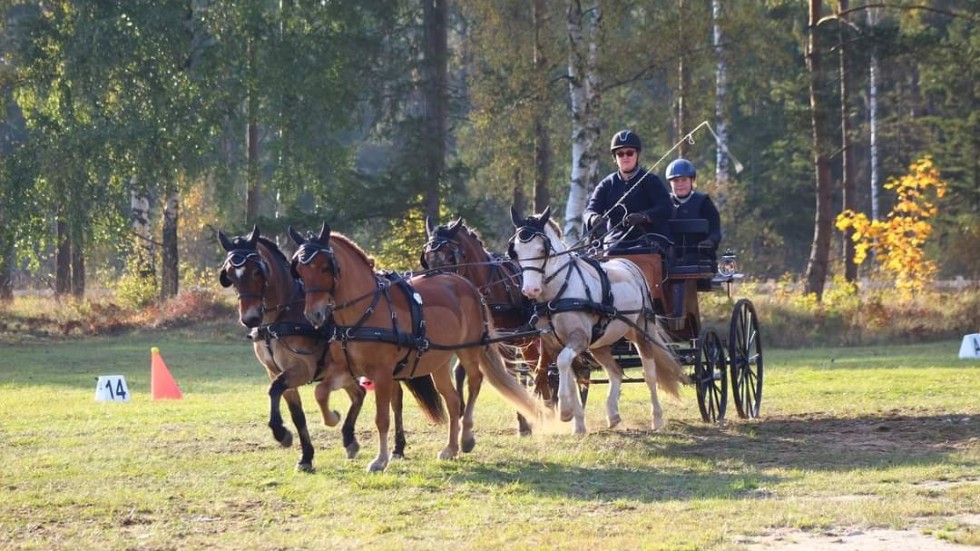 Från Grötlingbo mot VM – Maria Johansson till landslaget