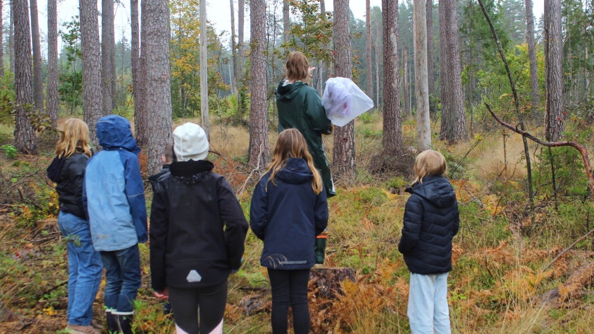 Skolelever på workshop om framtidens skolgård – Corren