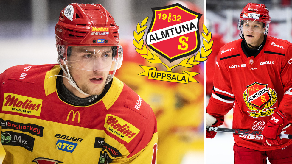 Almtuna värvar jätteback: "Aggressiv och elak på isen"