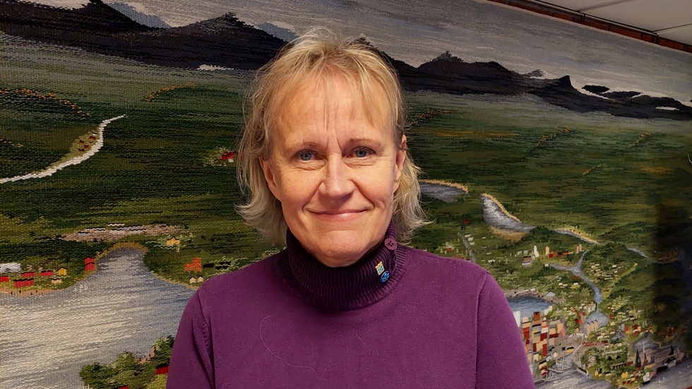 SD röstade igenom alternativ lista – 22-åring ny ordförande