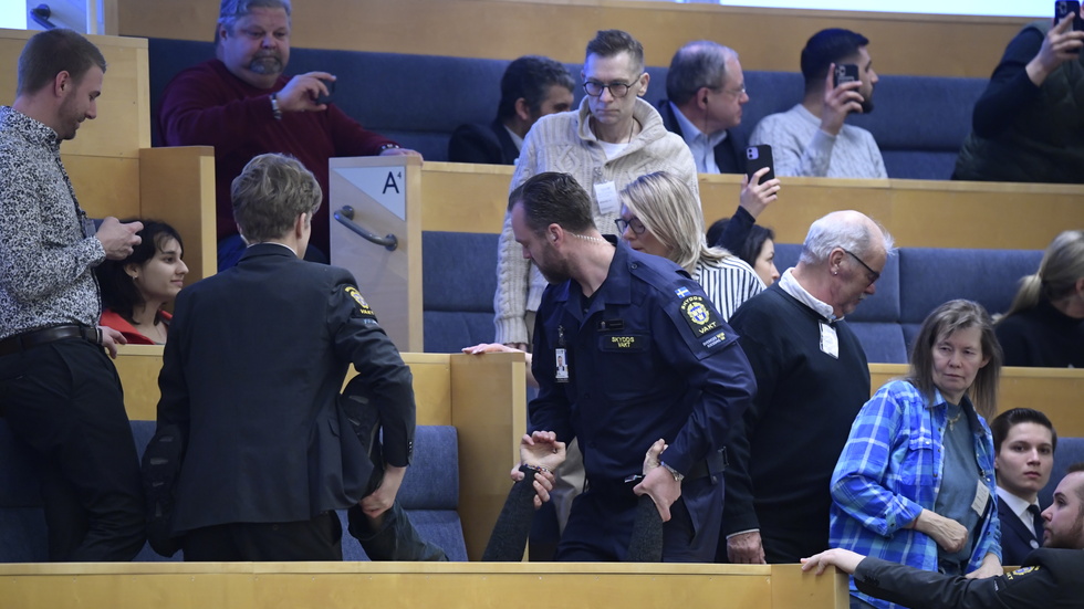 Kaos i riksdagen – demonstranter bars ut