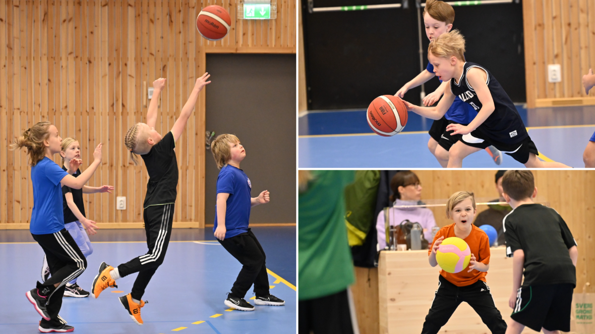Basketen lever upp i Skellefteå igen – med barnen i fokus: ”Det är ...