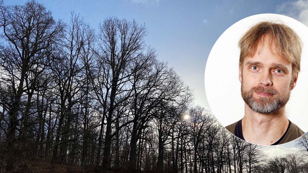 Förändringen för det populära grönområdet: "Varför skyddar man inte ...