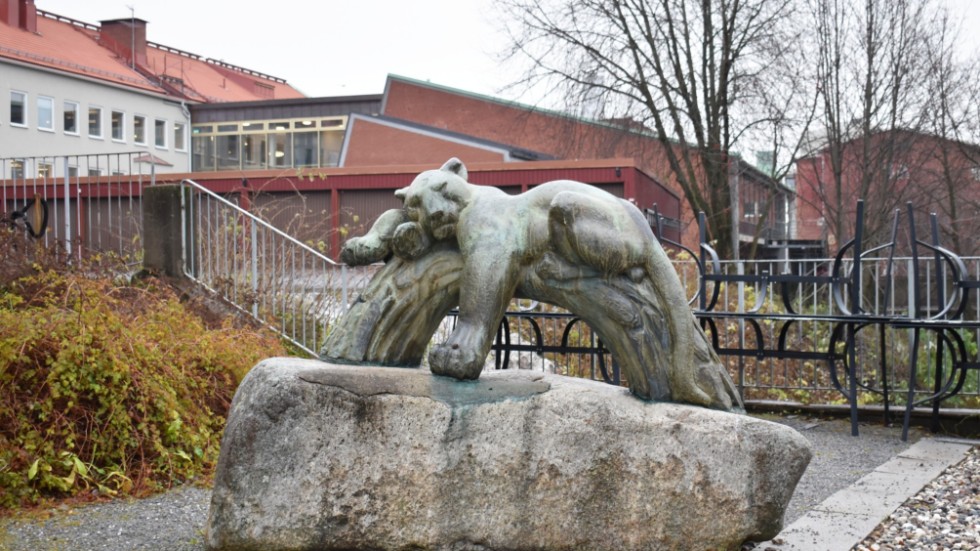 INSÄNDARE: Pantern är en utrotningshotad art i Skellefteå kommun