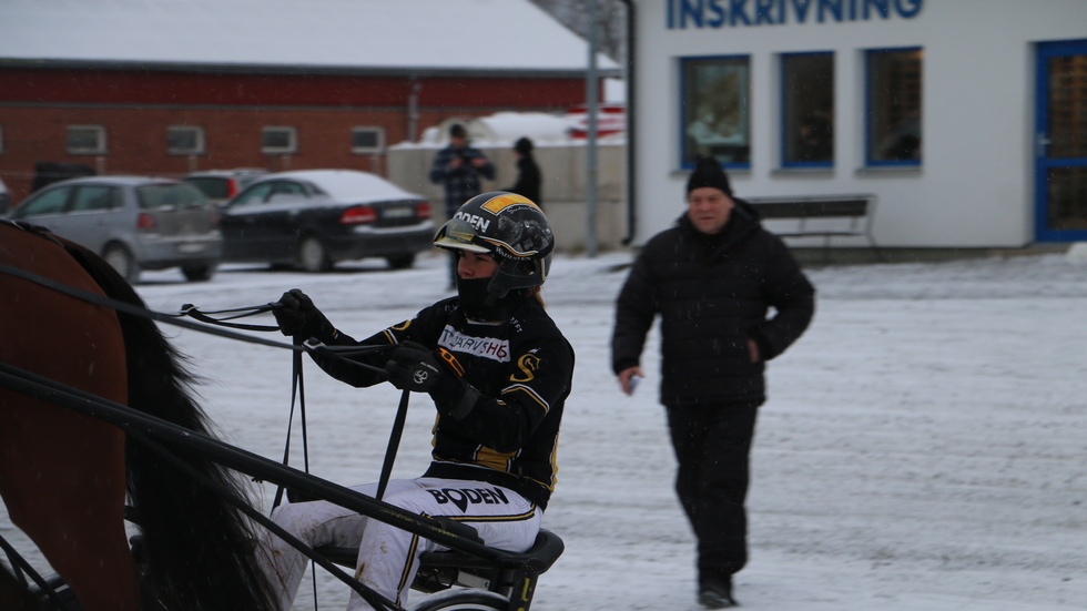 Succésäsong för Roger Nilssons kallblodsfux
