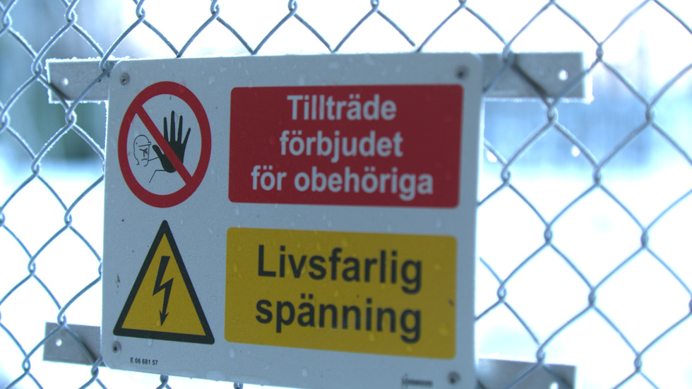 Vattenfall vill bygga ny kraftledning till Piteå: "Viktigt"