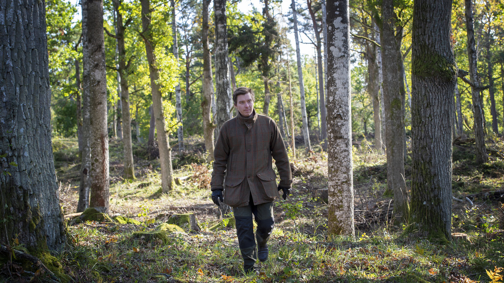 Tusentals granar fälls – öppnar för kor, ryttare och friluftsliv