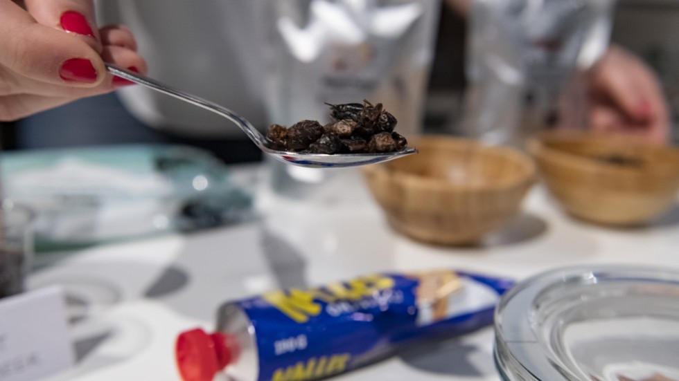 Försäljning av insekter som mat tillåts