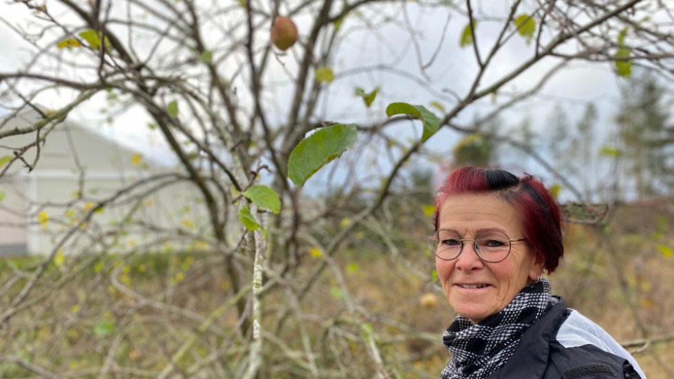 Anns förslag till kommunen: "Gör en karta över gratis frukt och bär"