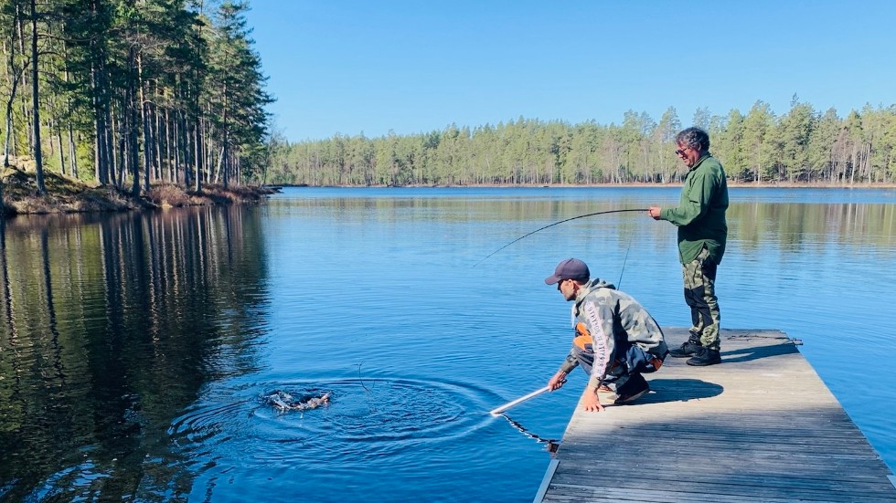 Stopp för ädelfiske i Stora Jordgölen
