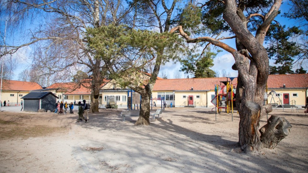 Planerna: Nya skolor och idrottshallar – nära 600 miljoner ska ...