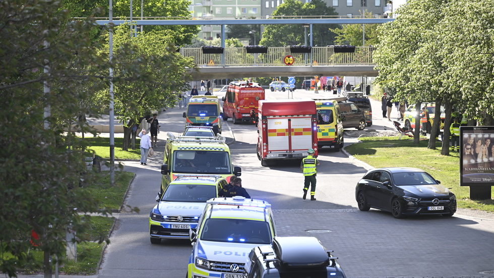 20 årig Gotlänning Misstänks För Mord
