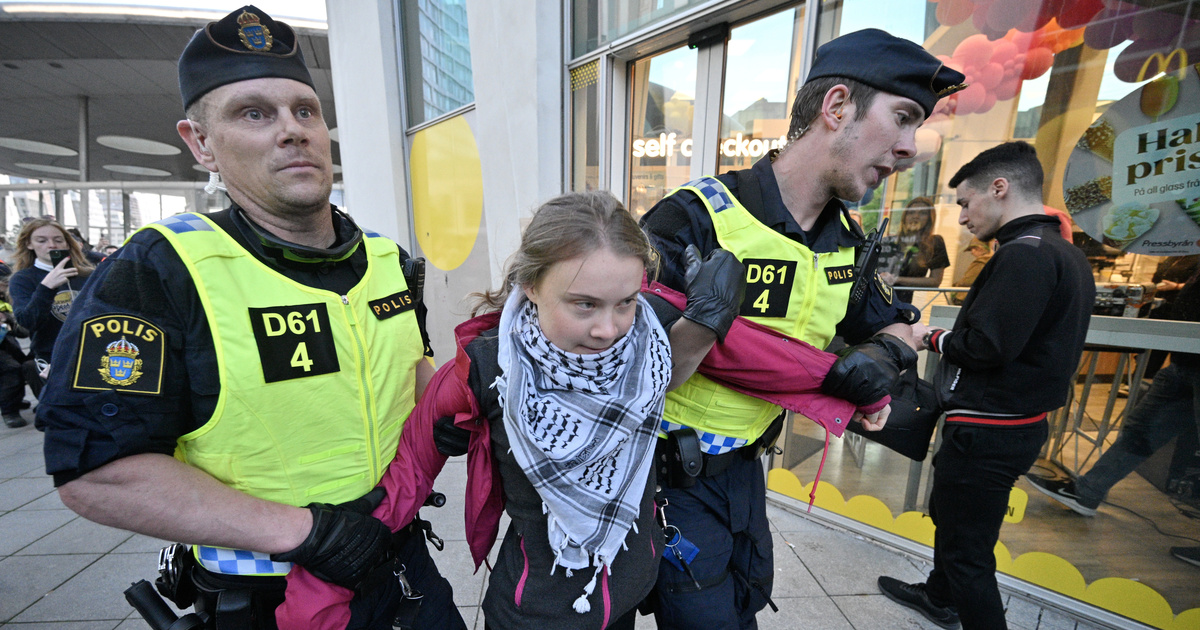 Greta Thunberg togs omhand utanför Malmö arena