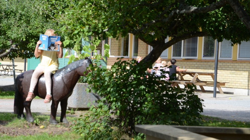 Farligt mögel på Kvarnbackaskolan förtegs av kommunen