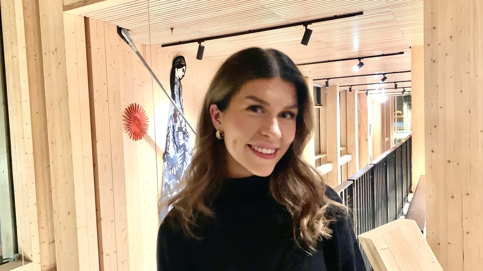 INGELA LEKFALK: Kan Edvin Törnblom vara orsaken till strömavbrottet?