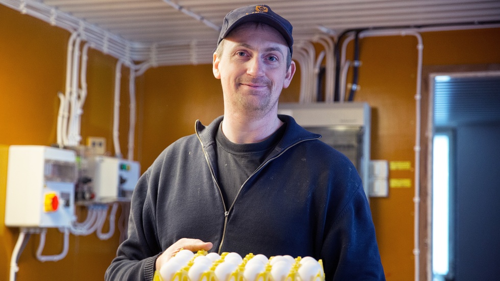 Johan tvingades avliva 1 600 höns – så gick det sen