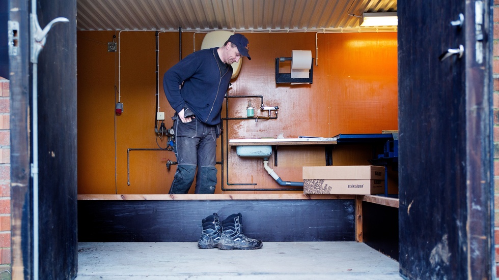 Johan tvingades avliva 1 600 höns – så gick det sen