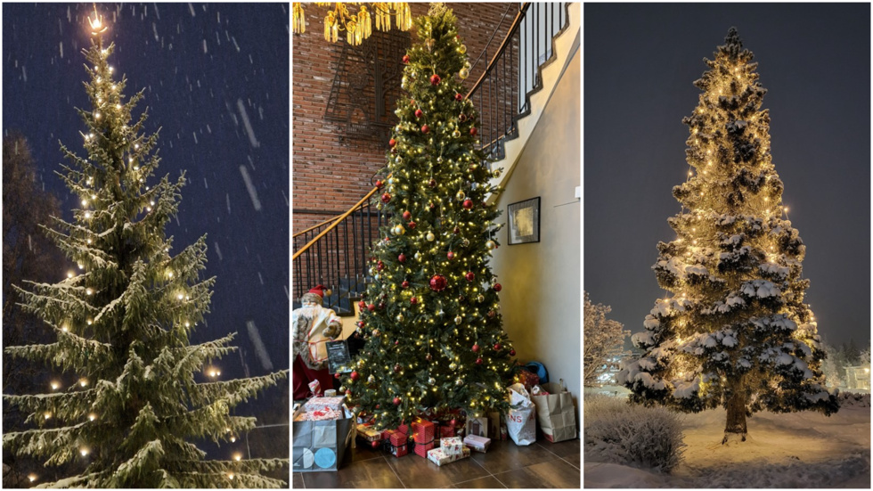 Rösta fram den snyggaste julgranen här