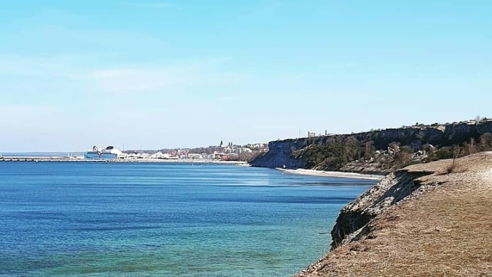 ”Gute Unicorn” blir Visbys landmärke: ”Ett magiskt fyrtorn”