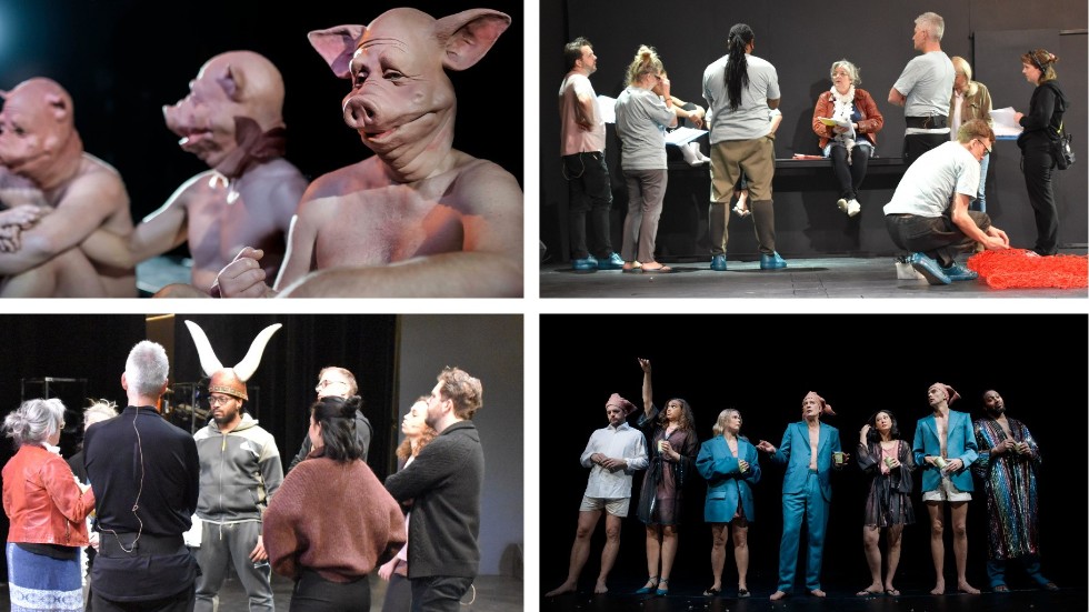 Grishuvuden och slalompjäxor – Nobelpristagaren Elfriede Jelinek för ...