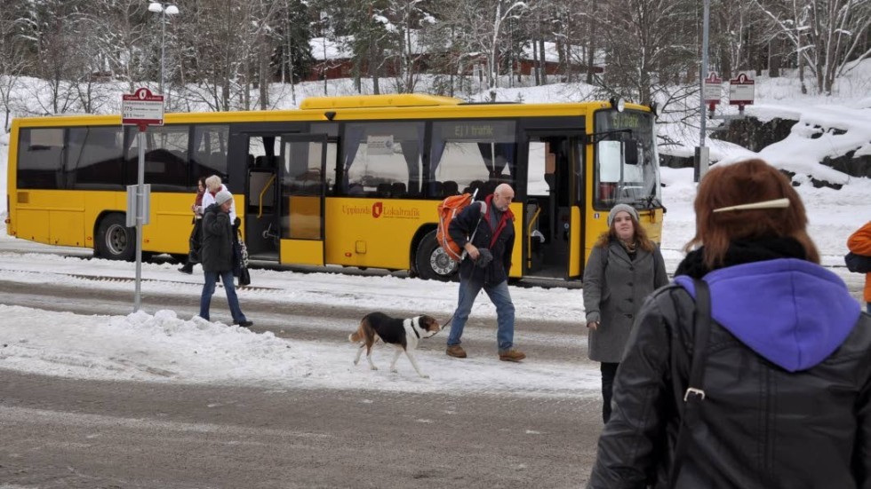 Efter snökaoset: Inga planer på inställda UL-bussar
