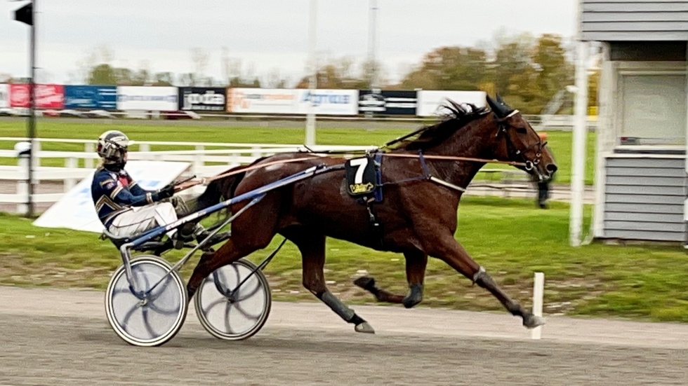 Många delaktiga i torsdagens vinnare på Visbytravet