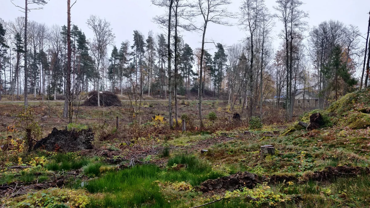 Planen Omvandla Gamla Skogspartiet Till Bostadsomr de