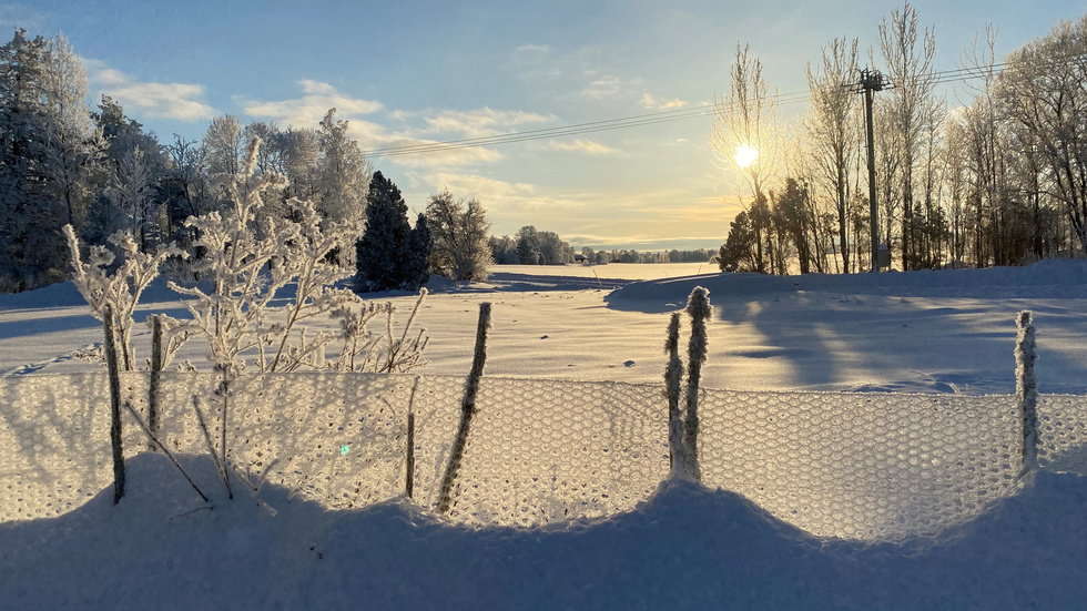 Se läsarnas bilder på de vackra vinterlandskapen i Uppsala