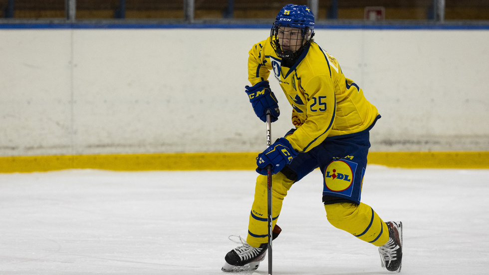 Skellefteå AIK-talanger uttagna till landslaget