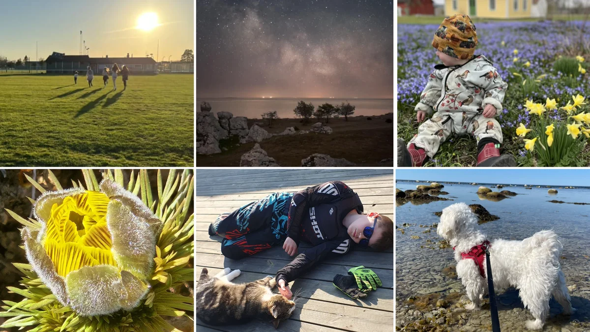 STORT BILDEXTRA: Se läsarnas alla vackra vårbilder