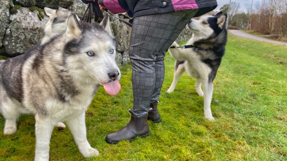 Här exploderar det på nyårsafton: "Skämdes över att säga vad jag ...