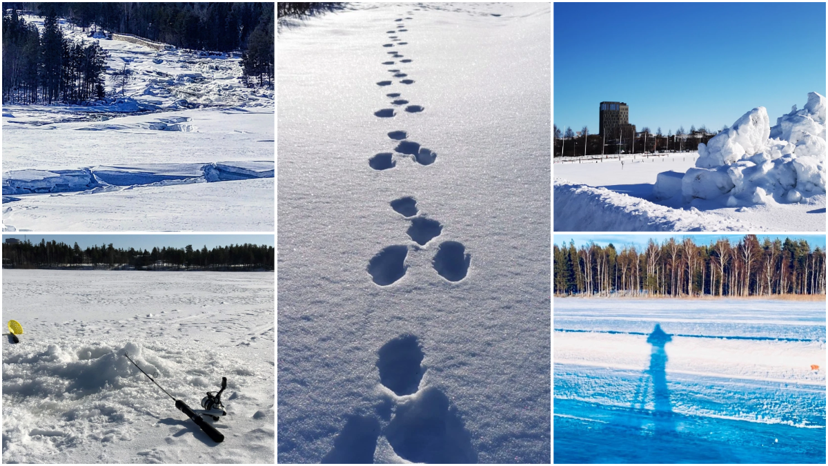 Läsarnas vinterbilder